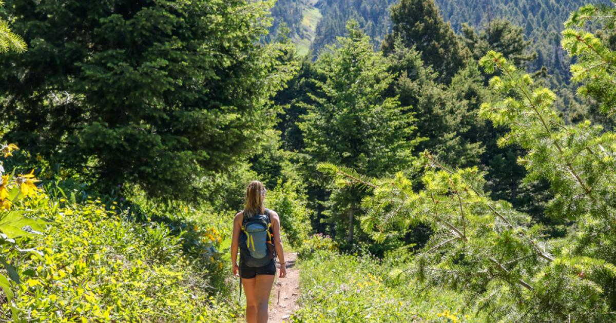 Truman Gulch Trail | Outside Bozeman