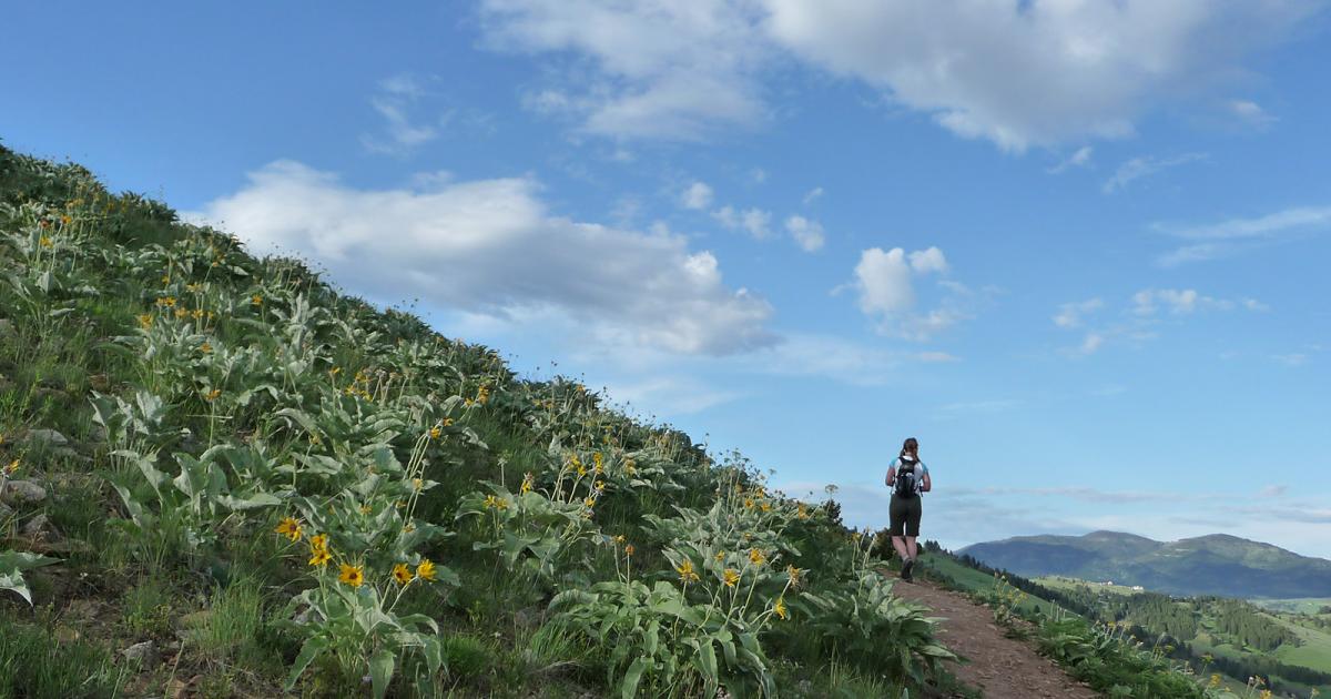 Bozeman's Top Trails | Outside Bozeman