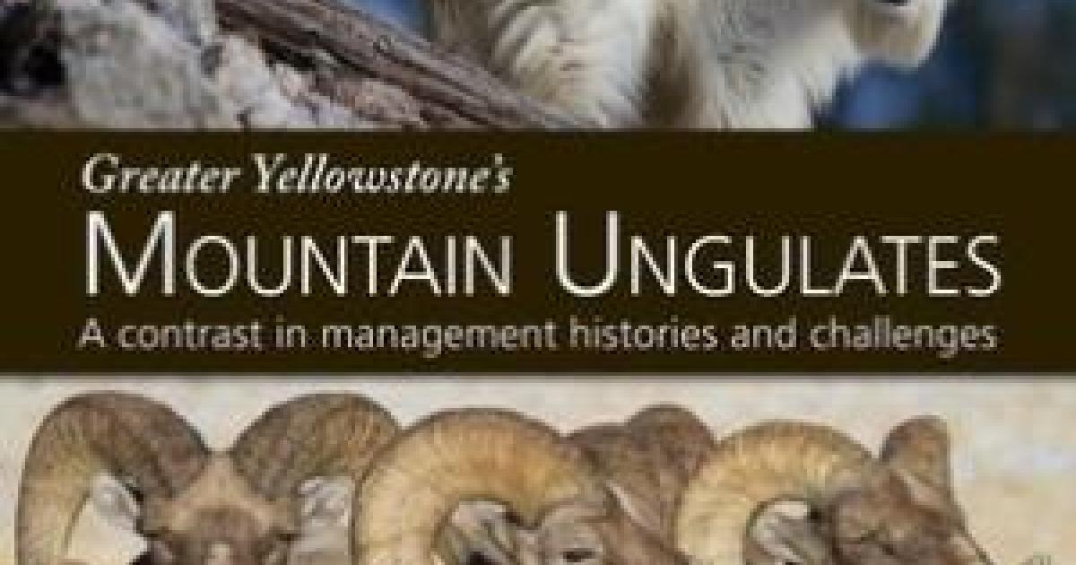 Book: Greater Yellowstone's Mountain Ungulates | Outside Bozeman
