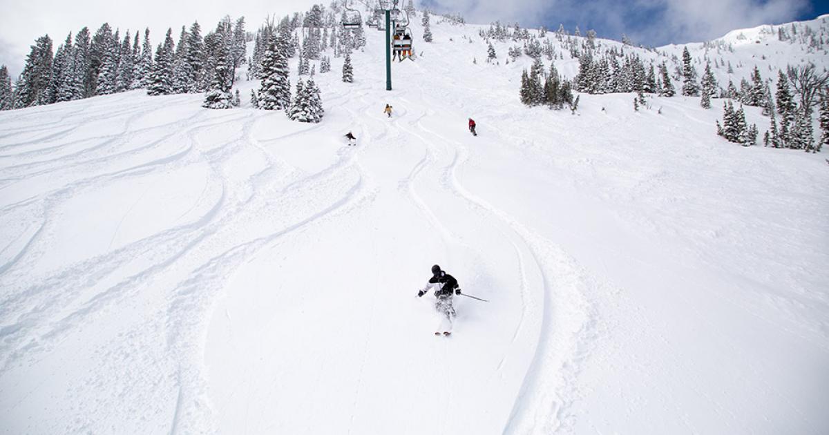 MSU Bobcat Ski Day | Outside Bozeman