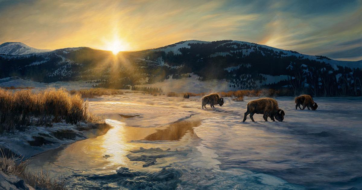 Bozo | Outside Bozeman