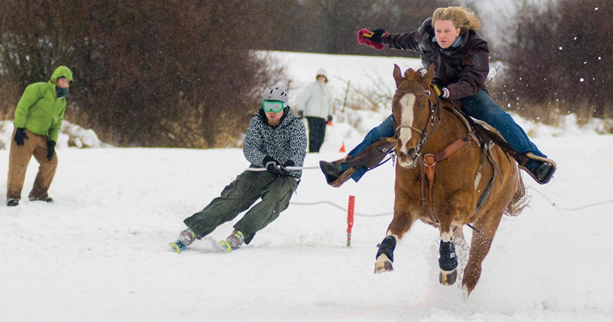 National Finals Ski-Joring Race | Outside Bozeman
