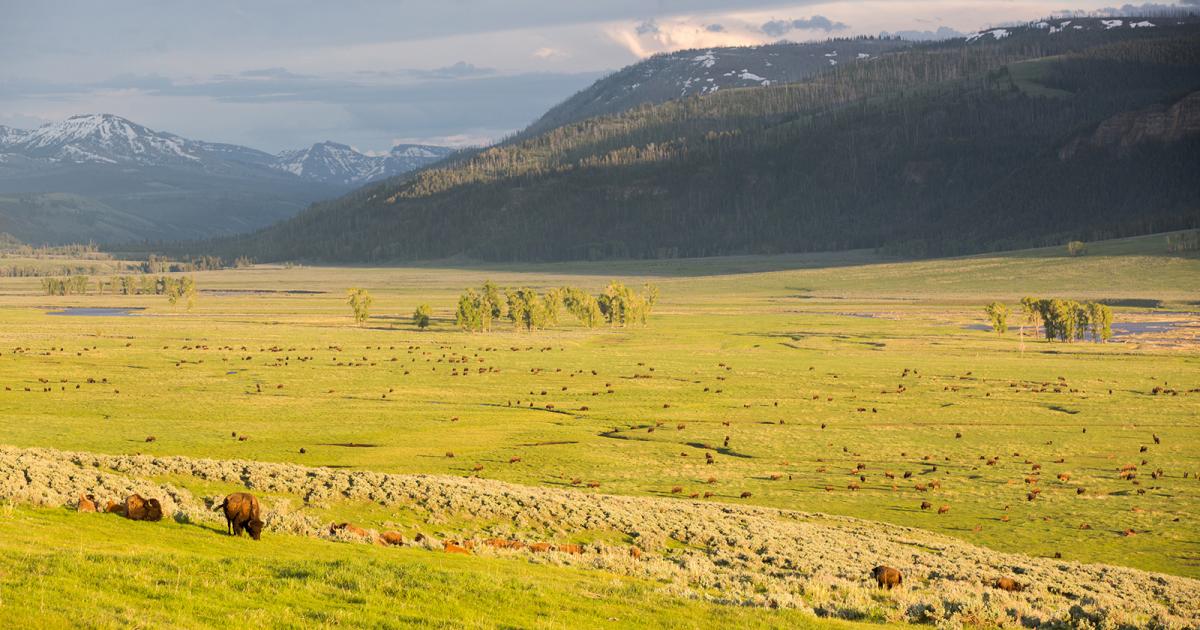 Untamed & Wide Open | Outside Bozeman