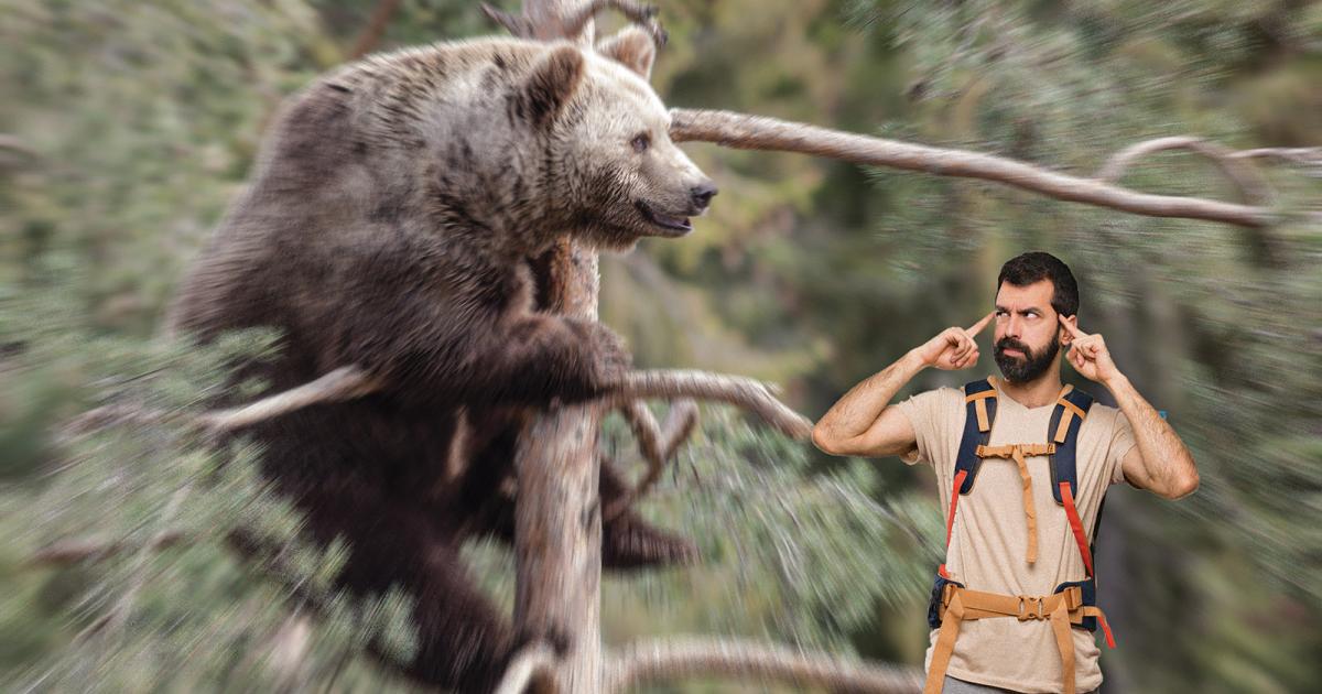 For Whom the Bear Bell Tolls | Outside Bozeman