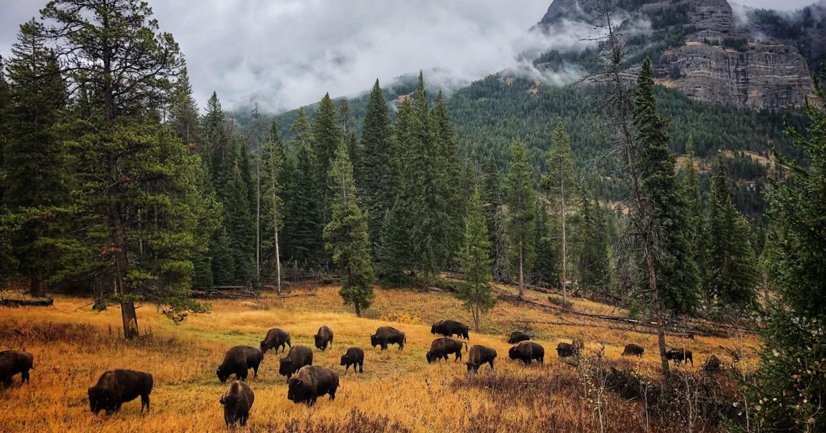 Quiet Time | Outside Bozeman