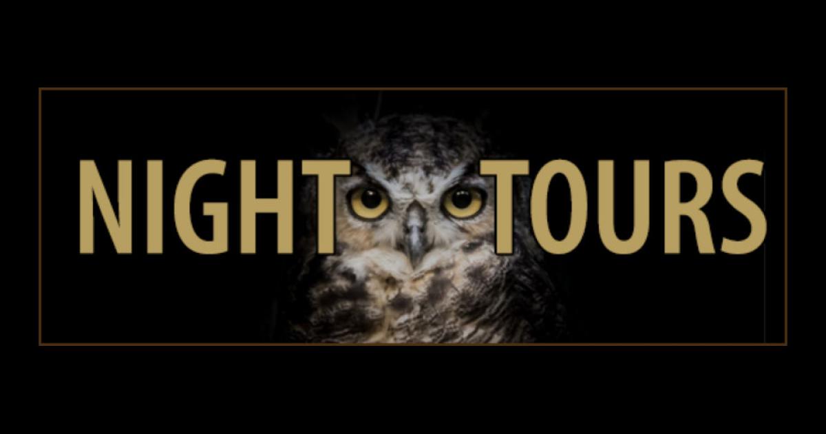 Night Tour | Outside Bozeman