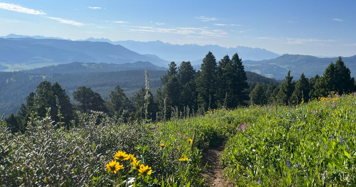 Chestnut Mountain Trail | Outside Bozeman