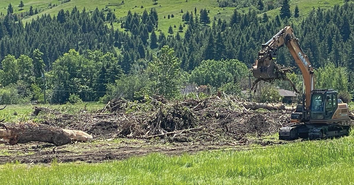 Uprooted | Outside Bozeman