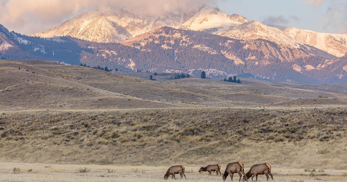 Greater Yellowstone Park | Outside Bozeman