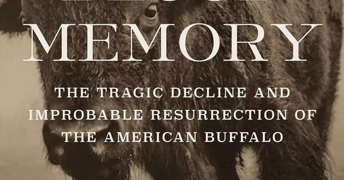 Book: Blood Memory | Outside Bozeman