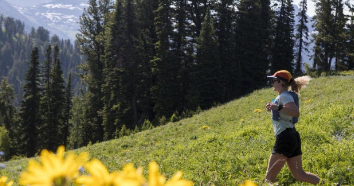Wildflower Trail Run | Outside Bozeman