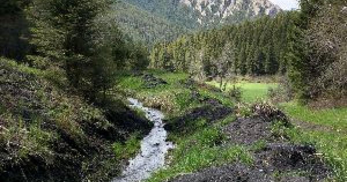 GRTF How to Restore a Stream with Grow Wild | Outside Bozeman