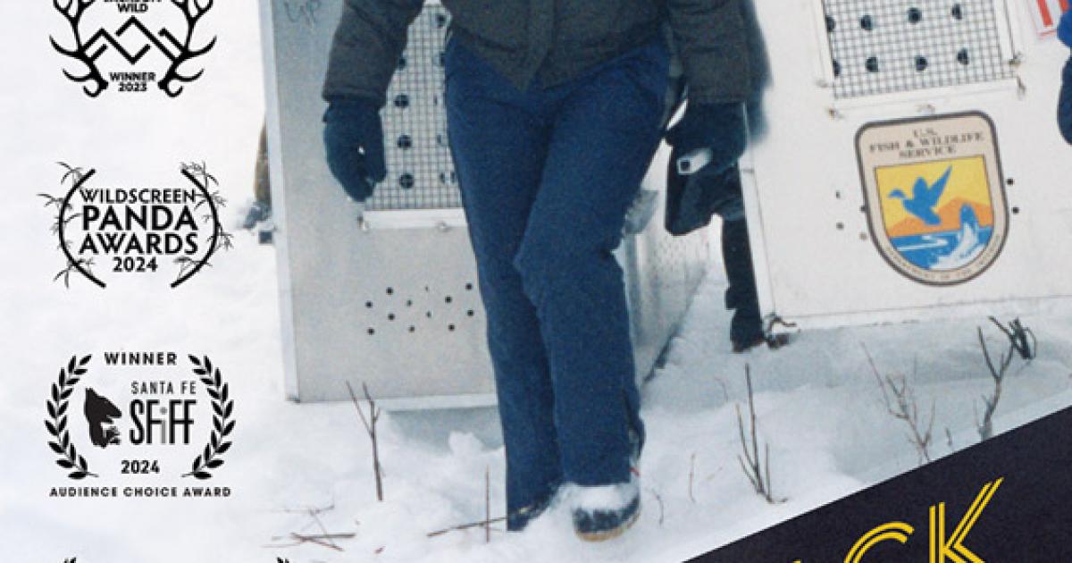 Film: Mollie's Pack | Outside Bozeman