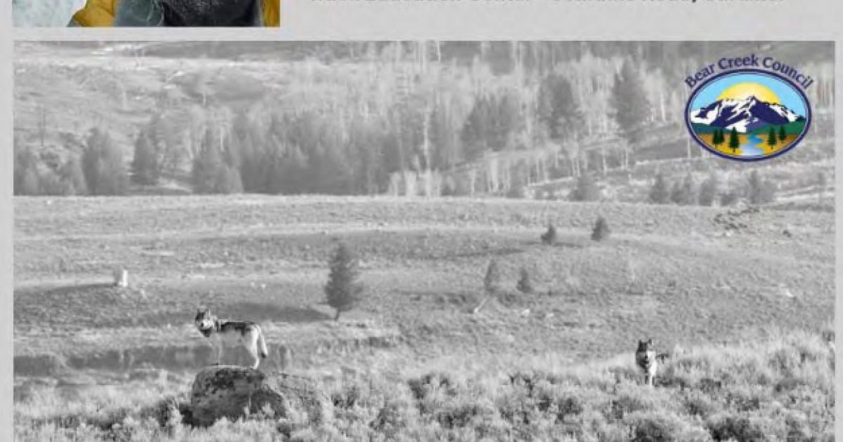 A National Wolf Conversation | Outside Bozeman