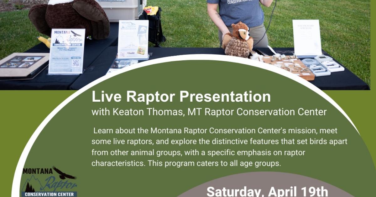 Live Raptor Presentation | Outside Bozeman