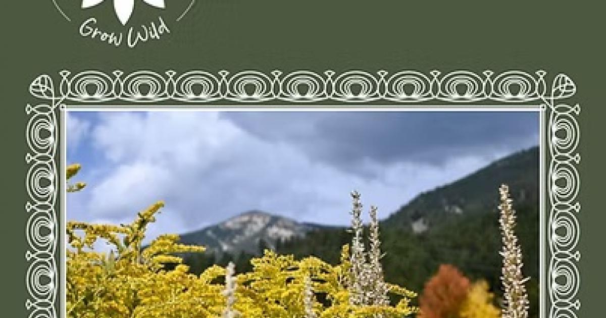 Summer Wind Down Volunteer Party | Outside Bozeman