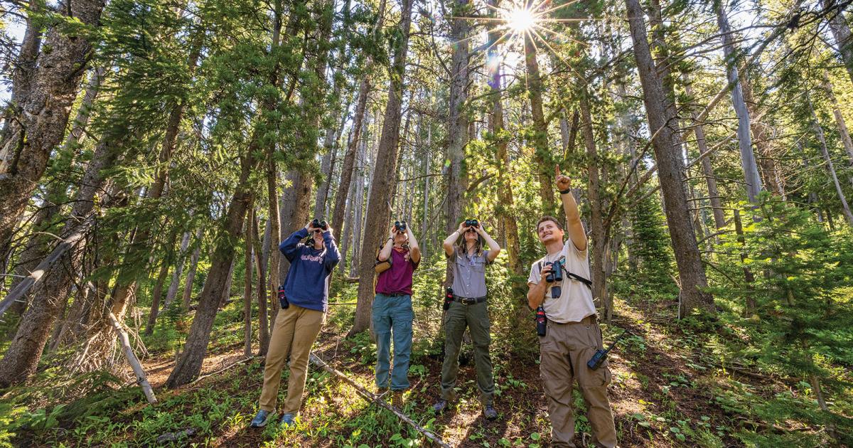 Tree Talk | Outside Bozeman