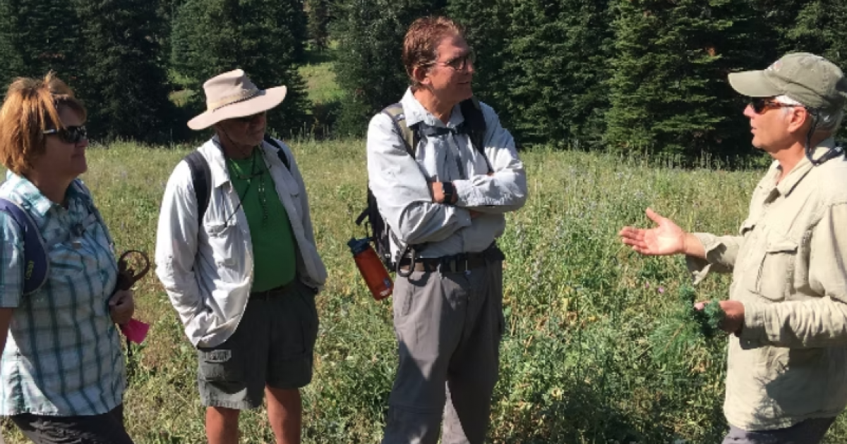 The Forest in Focus: A Guided Hike | Outside Bozeman