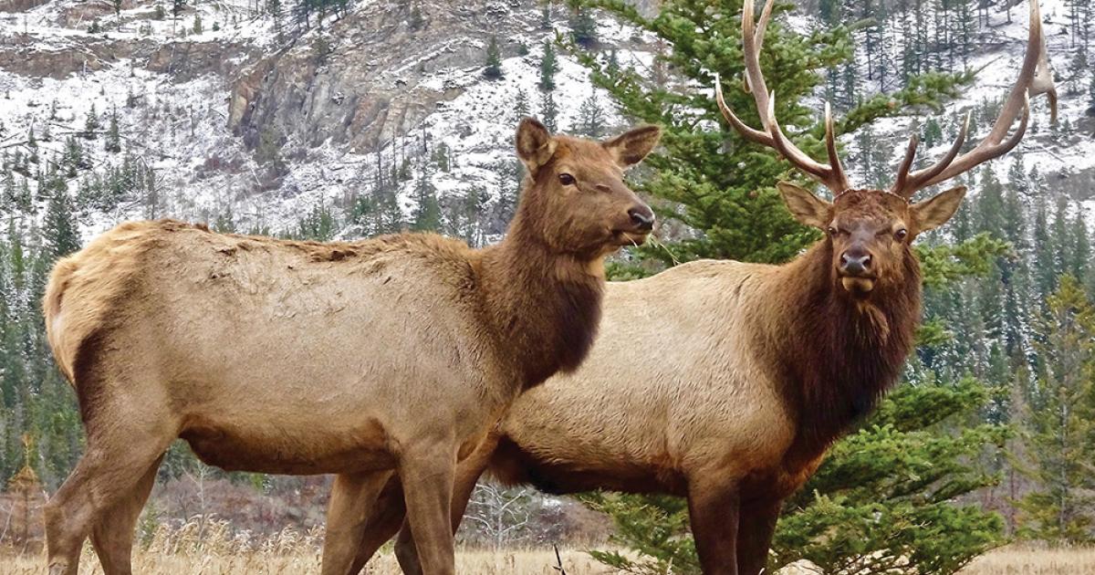 Home on the Range | Outside Bozeman