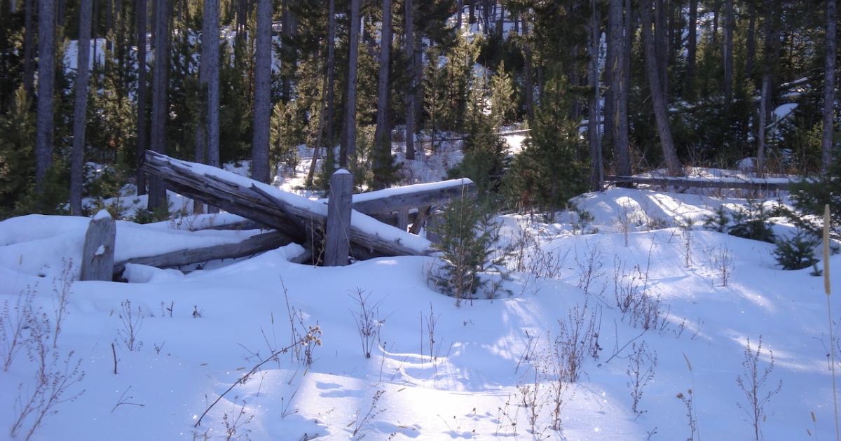 SAS Winter Tracking in Hyalite Canyon | Outside Bozeman