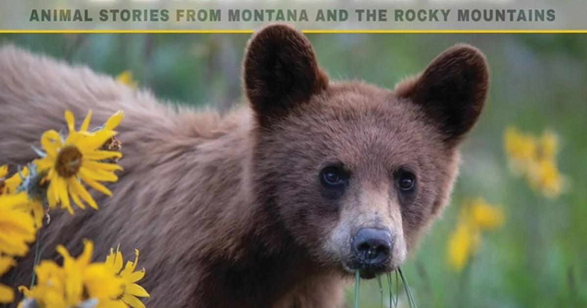 Book: Wildlife Through the Lens | Outside Bozeman