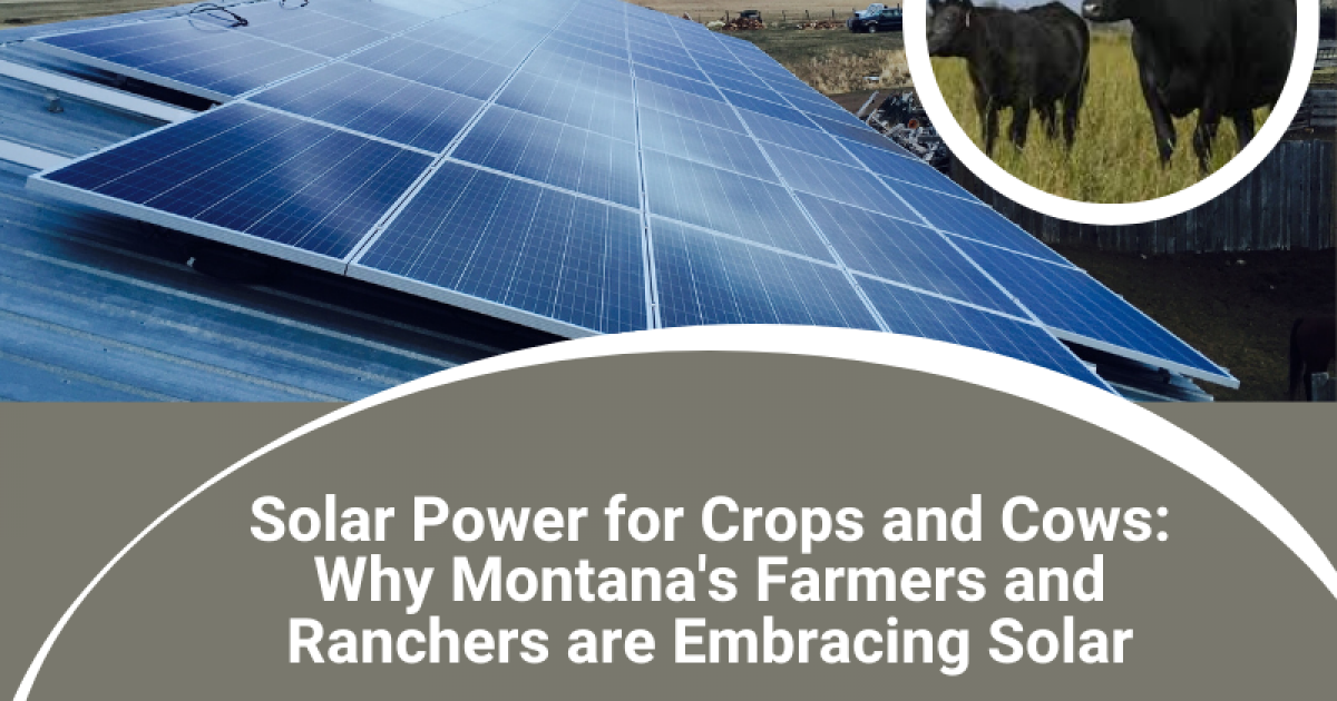 Panel Discussion: Solar Power for Crops and Cows | Outside Bozeman