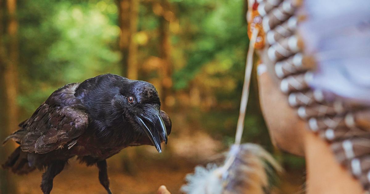 Birds of a Feather | Outside Bozeman