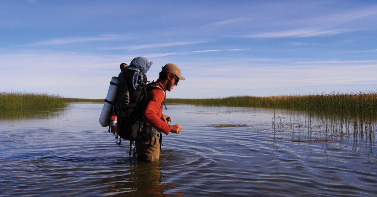 A Long Walk in the Woods | Outside Bozeman