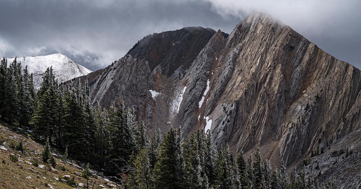 Beach Bodies | Outside Bozeman