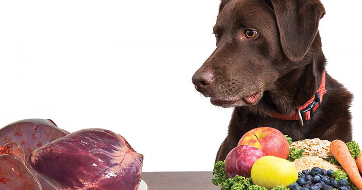 Cuts for Mutts | Outside Bozeman