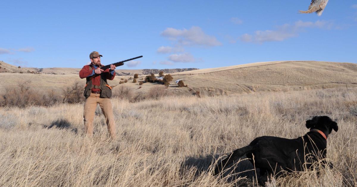 Hunting Reports | Outside Bozeman