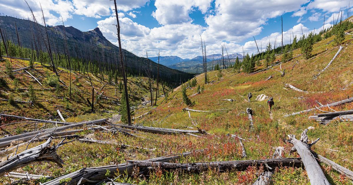 High-Country Hues | Outside Bozeman