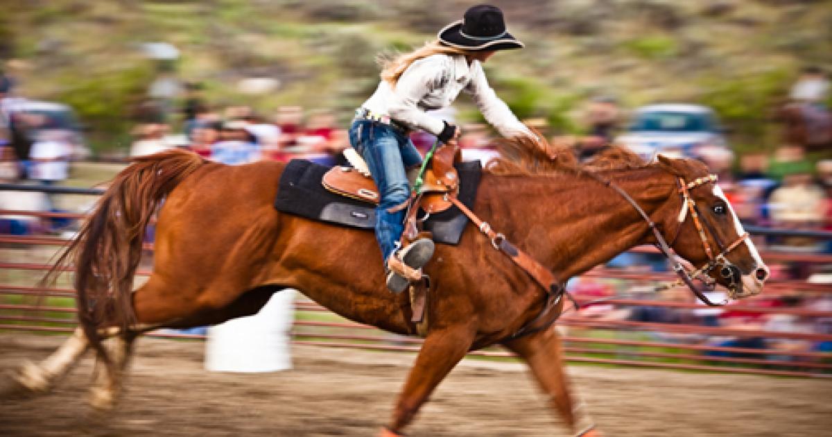 Rodeo Roundup | Outside Bozeman