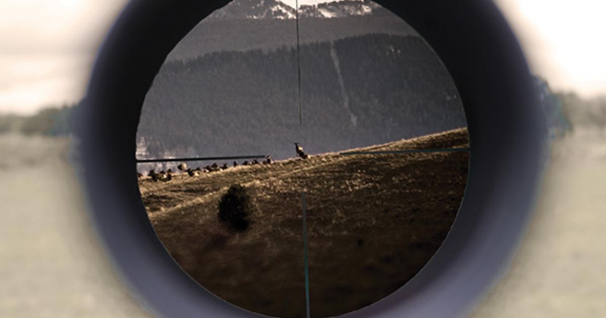 Scope Creep | Outside Bozeman