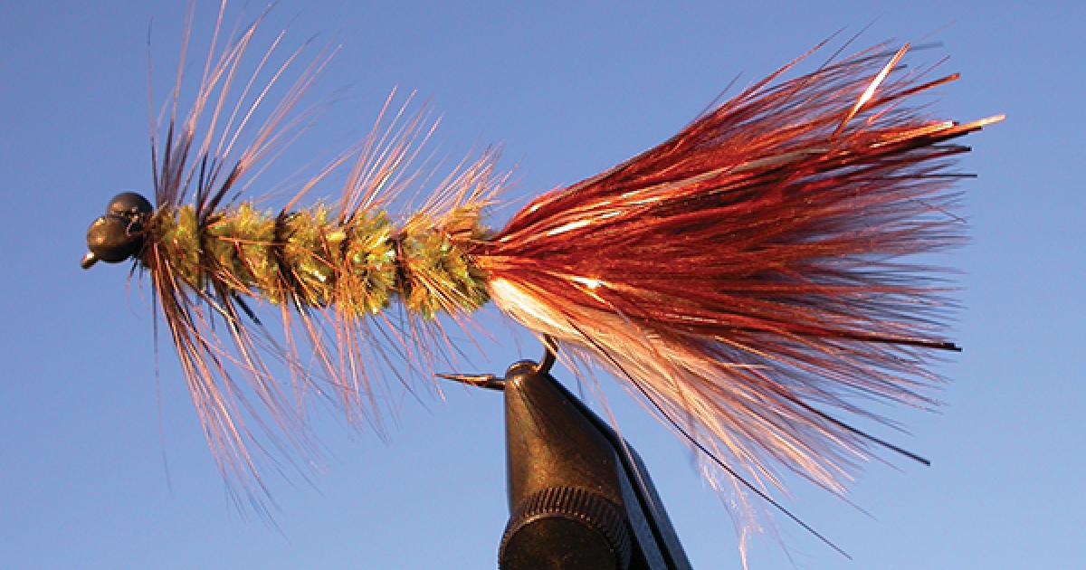 Probe the Pigs | Outside Bozeman