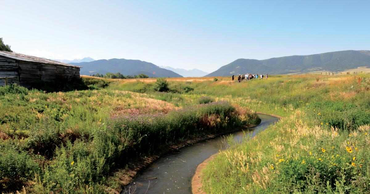 Up a Creek | Outside Bozeman