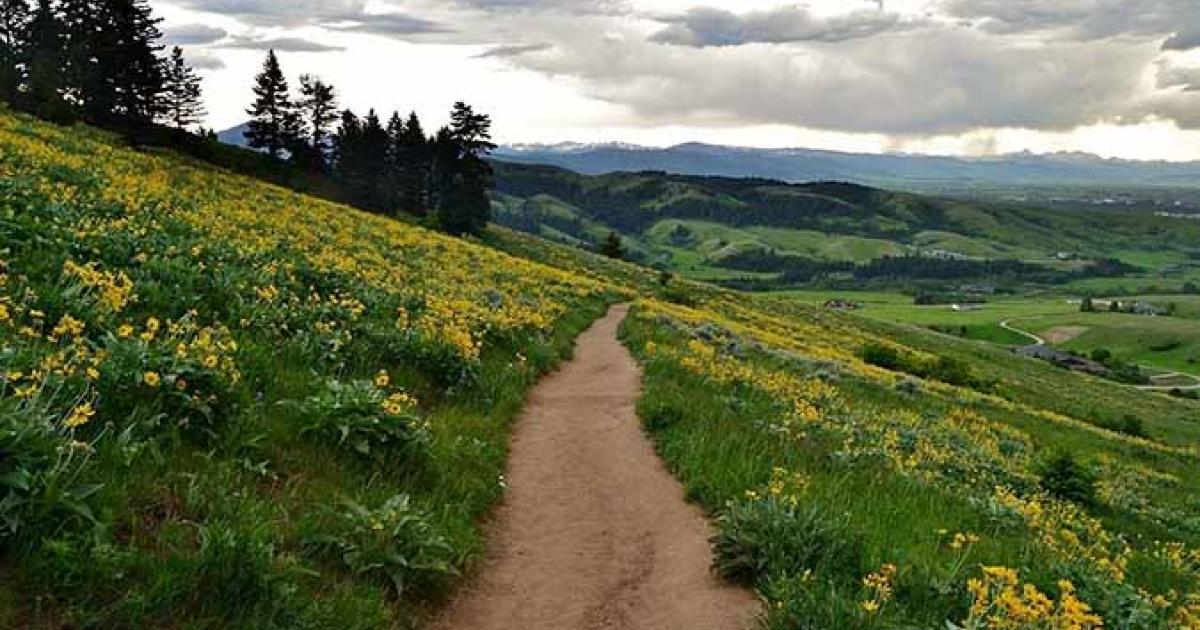 M Trail | Outside Bozeman