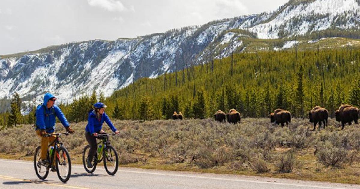 Day Tour: Yellowstone | Outside Bozeman