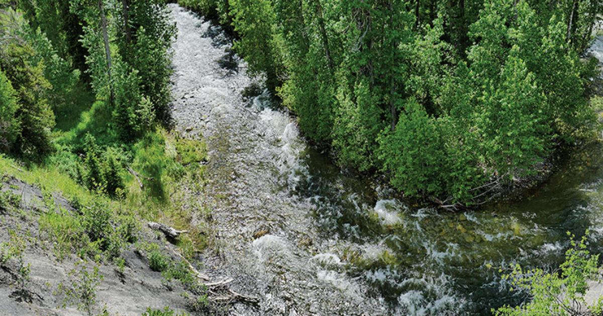 Dream Streams | Outside Bozeman