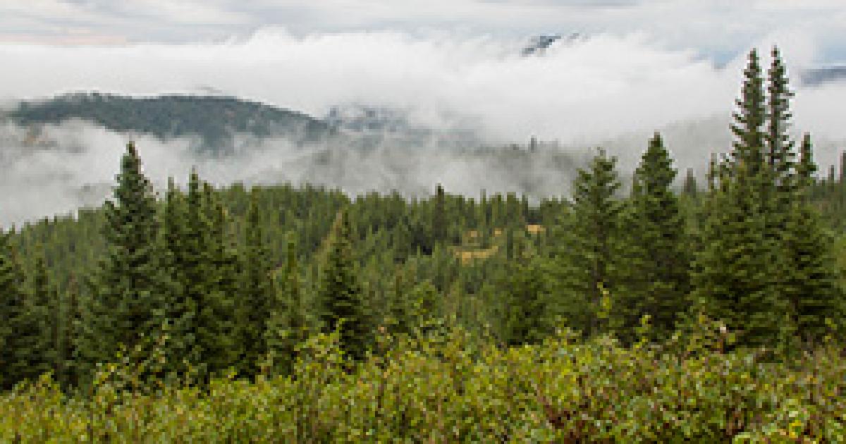 National Forests | Outside Bozeman