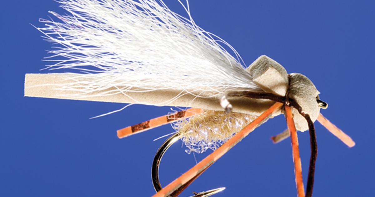 Tan Cicada Foam | Outside Bozeman