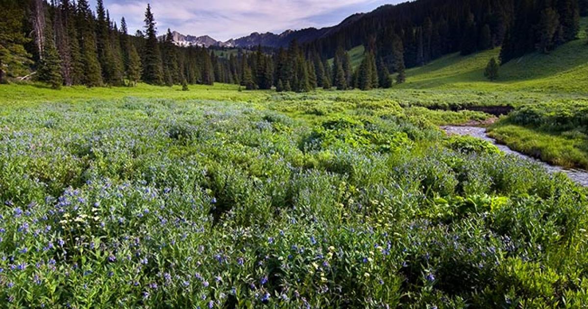 Beehive Basin Trail | Outside Bozeman