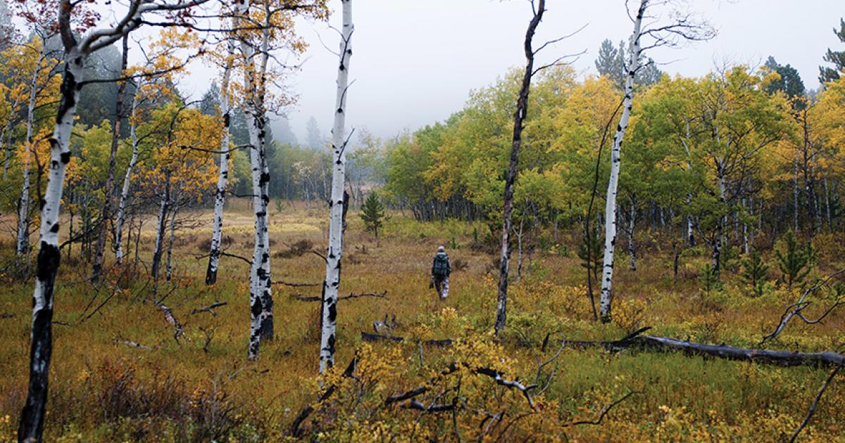 Heads-Up Hunting | Outside Bozeman