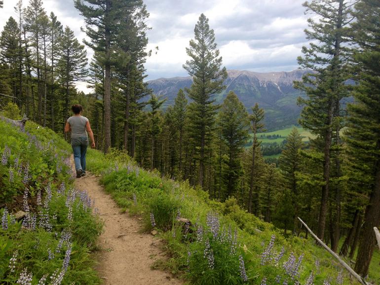 M to Sypes Canyon Trail | Outside Bozeman