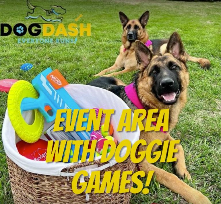 DogDash Pop Up Festival | Outside Bozeman