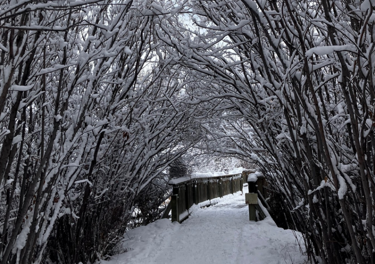 Hidden in Plain Sight | Outside Bozeman