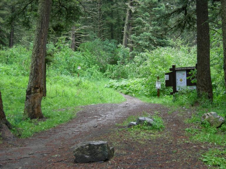 Truman Gulch Trail | Outside Bozeman