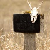 Gopher-Shooting, Anyone? | Outside Bozeman